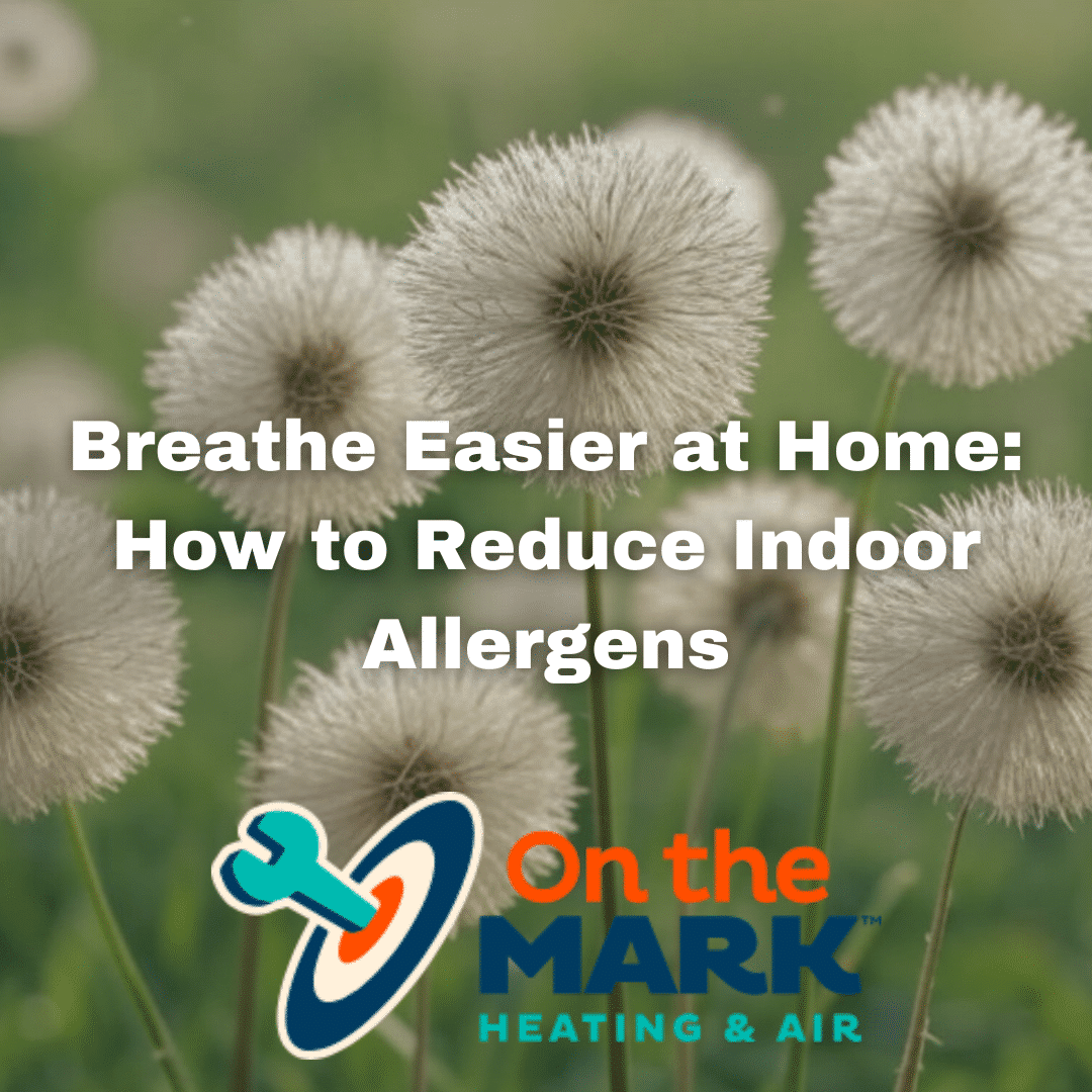Reduce Indoor Allergens | On The Mark