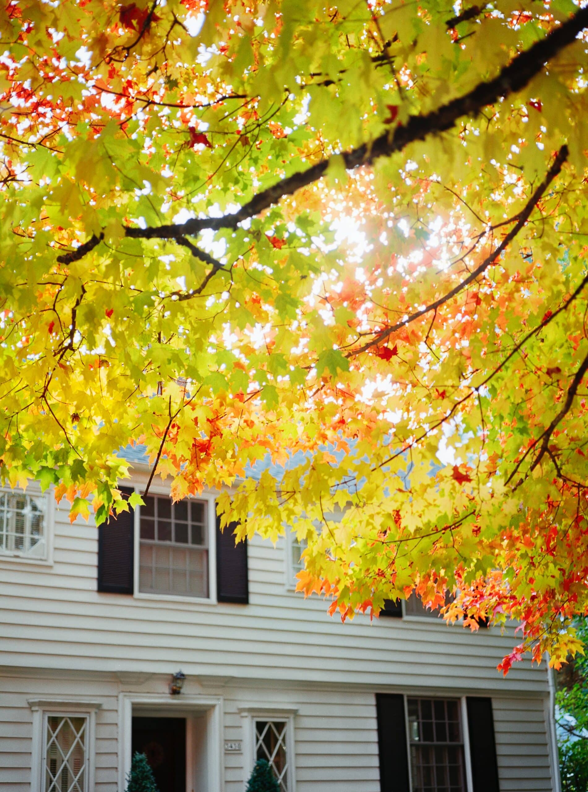 Heating Maintenance Checklist for Fall | On the Mark